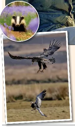 We will never see another Sir David, the ‘mighty oak’ - PressReader