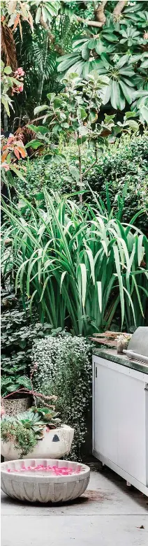 In Full Bloom - PressReader