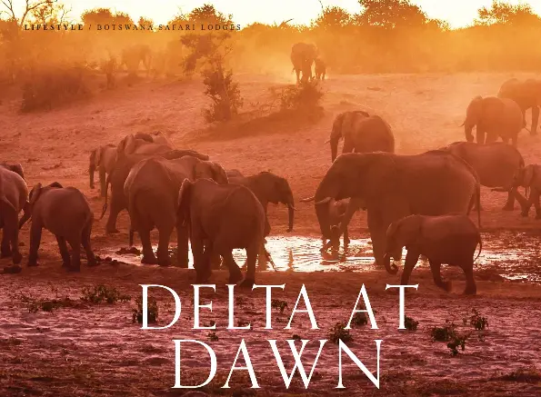 DELTA AT DAWN - PressReader