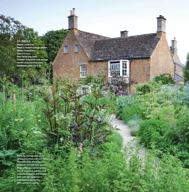 Practicall­y beautiful - PressReader