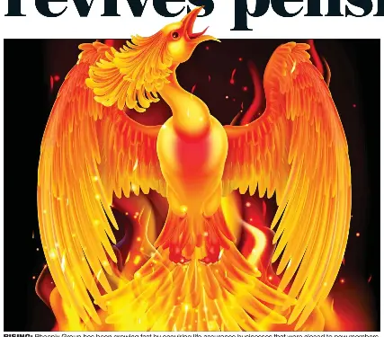 Revitalise your funds as Phoenix revives pensions - PressReader