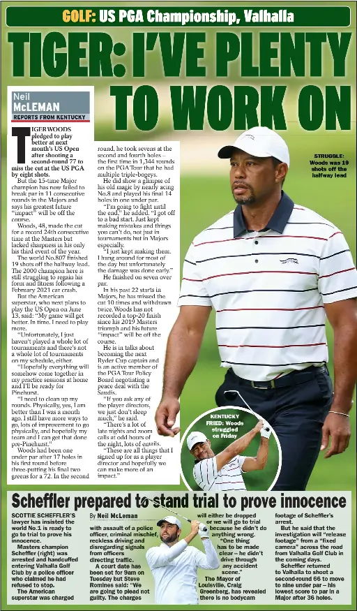 TIGER: I’VE PLENTY TO WORK ON - PressReader