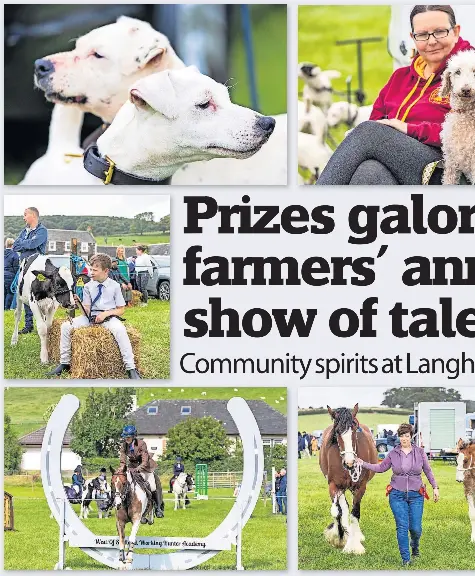Craigie Farmers’ Society Show Prizes galore at farmers’ annual show of talents - PressReader