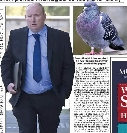 Mysterious case of the missing pigeon - PressReader