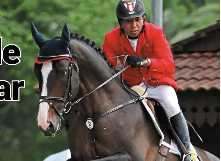 One hurdle too far - PressReader