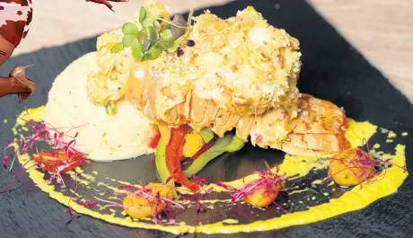 Dining with Curvy - PressReader