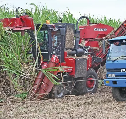 Cane Harvesting Ready in Labasa - PressReader