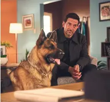 How new Hudson won over Rex and his dog master - PressReader