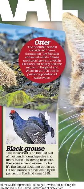 NATURAL DISASTER - PressReader