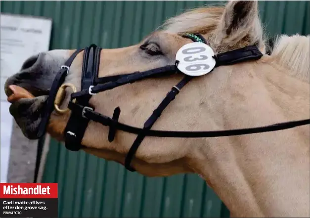 MAND TILTALT FOR OVERGREB PÅ HESTE - PressReader