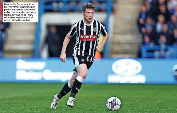 Eager Palmer being ‘reined in’ as return from injury steps up - PressReader