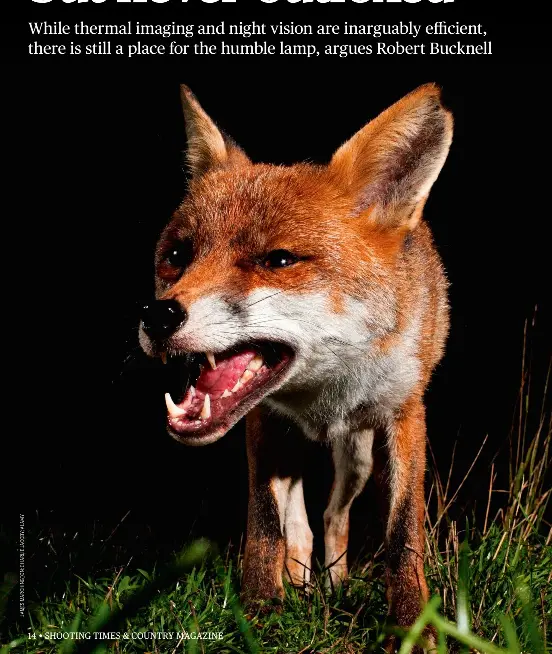 Lamping: outshined but never outfoxed - PressReader