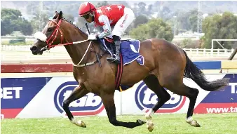 Great performanc­es in Finale - PressReader