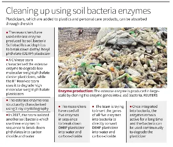 IIT Roorkee uses bacterial enzymes to degrade plasticize­rs - PressReader