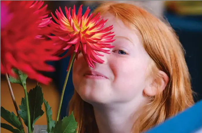 Blooming marvellous! - PressReader