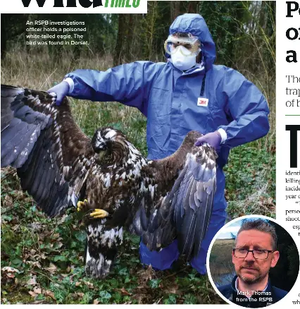 Persecutio­n of raptors at a high level - PressReader