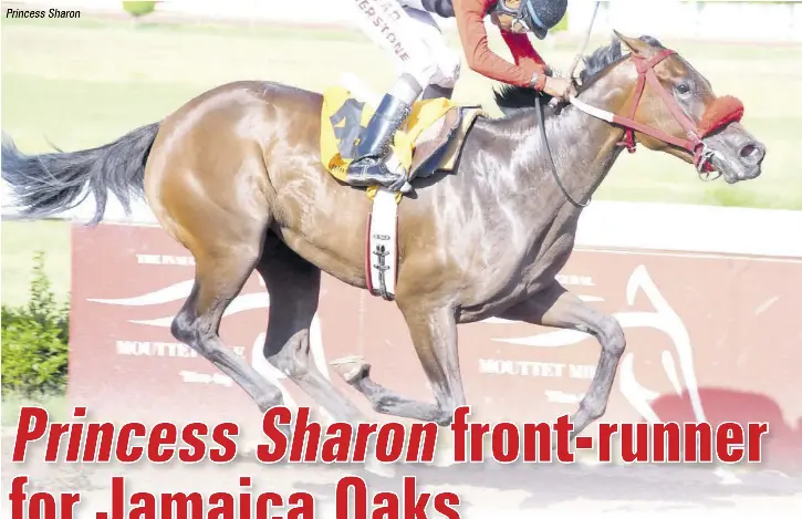 Princess Sharon front-runner for Jamaica Oaks - PressReader