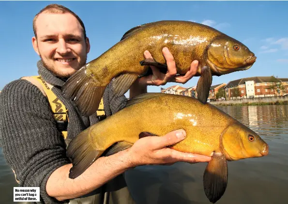 How to catch tench all day long on lakes - PressReader