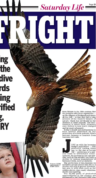 KITE FRIGHT - PressReader