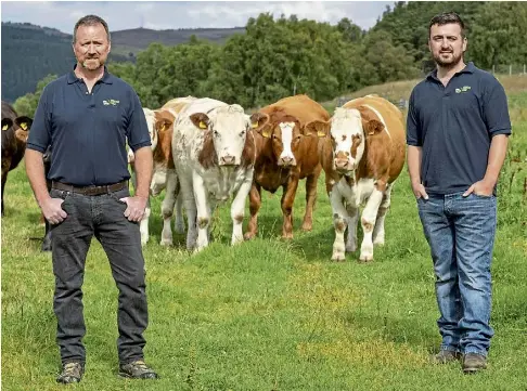 Monitor Farms put - PressReader