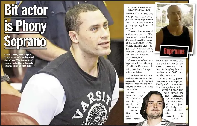 Robert Iler Arrested