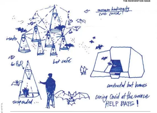 A Batty Idea - PressReader