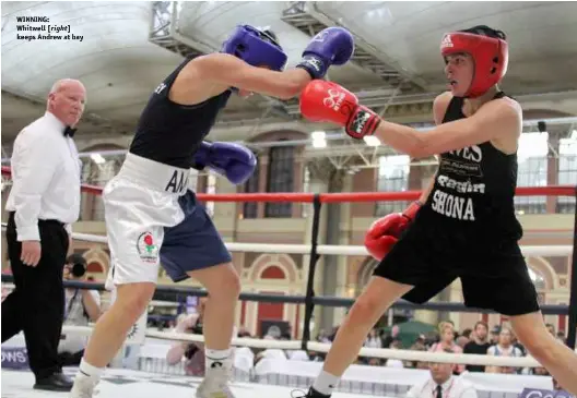 AMATEURS - PressReader