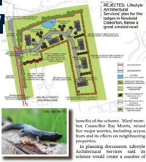 Concern over newts blocks plans for six holiday lodges | Leicester ...