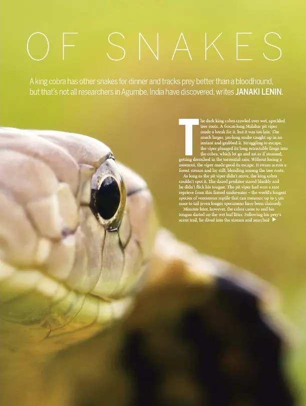 KING OF SNAKES - PressReader