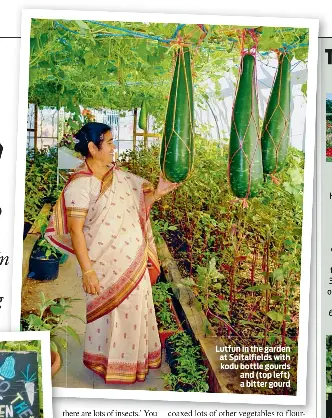 Good gourd! - PressReader