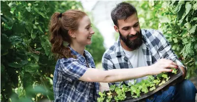 Spruce up your garden for less this summer - PressReader