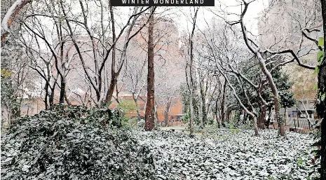 Tourism benefits from KZN snowfall - PressReader