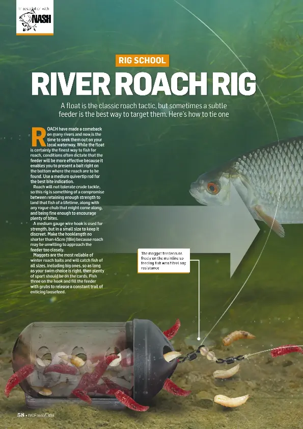 Rig School: maggot feeder - PressReader