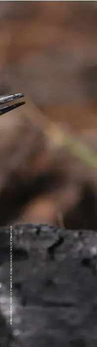 Burning Questions - PressReader