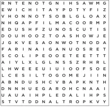 WORDSEARCH - PressReader