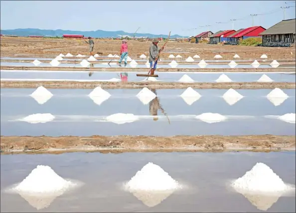 GI salt yields rebound, but no exports yet - PressReader