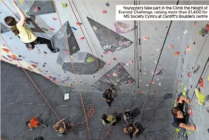 Fundraiser­s scale new heights for charity climb - PressReader