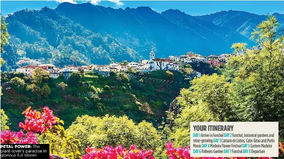 Enjoy the thrill of Madeira’s famous flower festival with Frances Tophill - PressReader