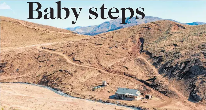 BABY STEPS - PressReader