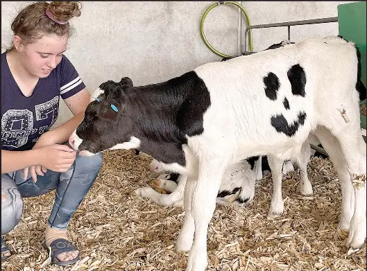 Happy’s $10,000 smile - PressReader