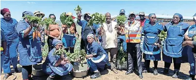 NPO’s garden project alleviates poverty - PressReader