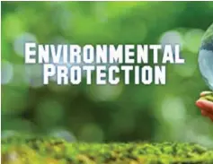 Can Nigeria balance economic growth and environmen­tal pr - PressReader