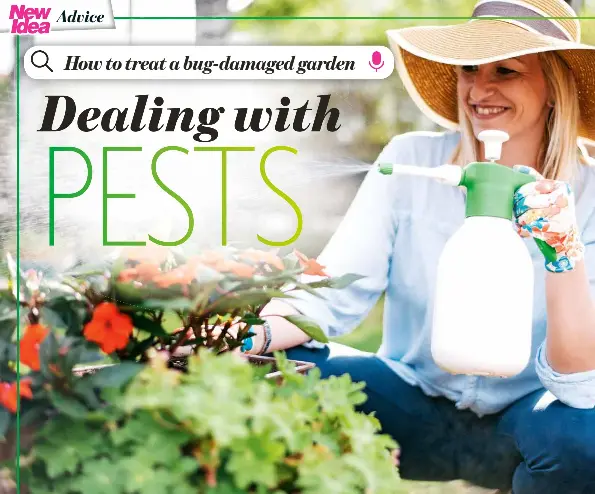 Dealing with PESTS - PressReader