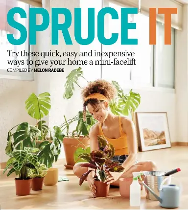 SPRUCE IT UP - PressReader