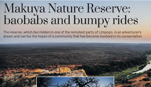 Makuya Nature Reserve: baobabs and bumpy rides - PressReader