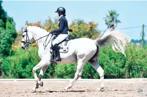 RIDING HIGH! - PressReader