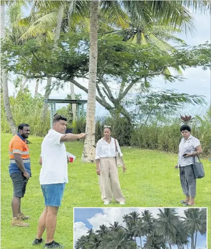 Fashion on the island - PressReader