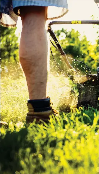 Greener green grass of home - PressReader