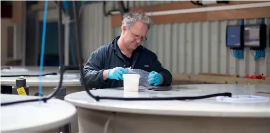 Thirty years of MERL - PressReader