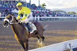 Mouttet Mile day at Caymanas Park - PressReader